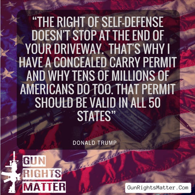 National Concealed Carry Reciprocity - Is It Finally Possible? - Boomer ...